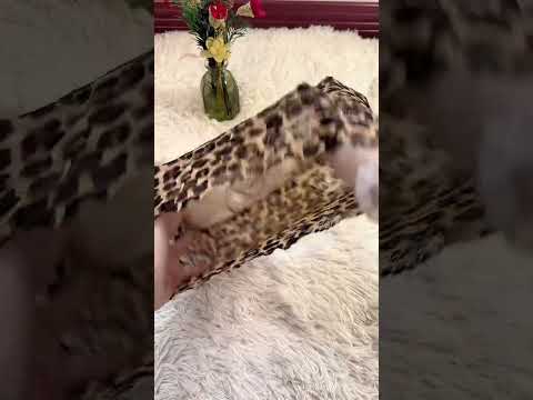 Ultra-thin shiny skin crotchless pantyhose #legs  #beauty#nylon#stockings#fashion#pantyhose