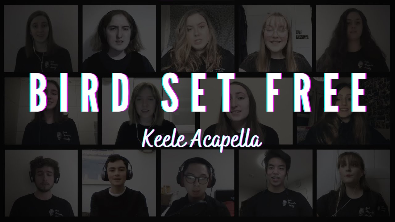 Bird Set Free (Sia) - Keele Acapella - YouTube