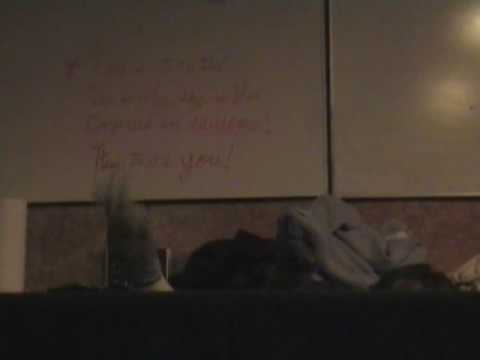 Bohemian Rhapsody Sock puppets - YouTube