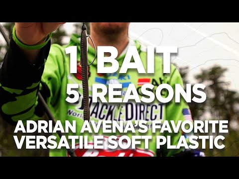 1 Bait, 5 Reasons: Adrian Avena’s Favorite Versatile Soft Plastic | Major League Lessons