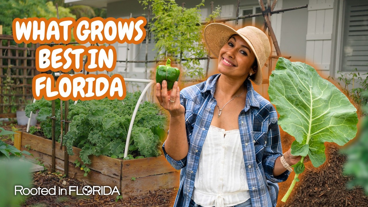 A Beginner's Guide to Starting a Florida Vegetable Garden | Rooted in ...