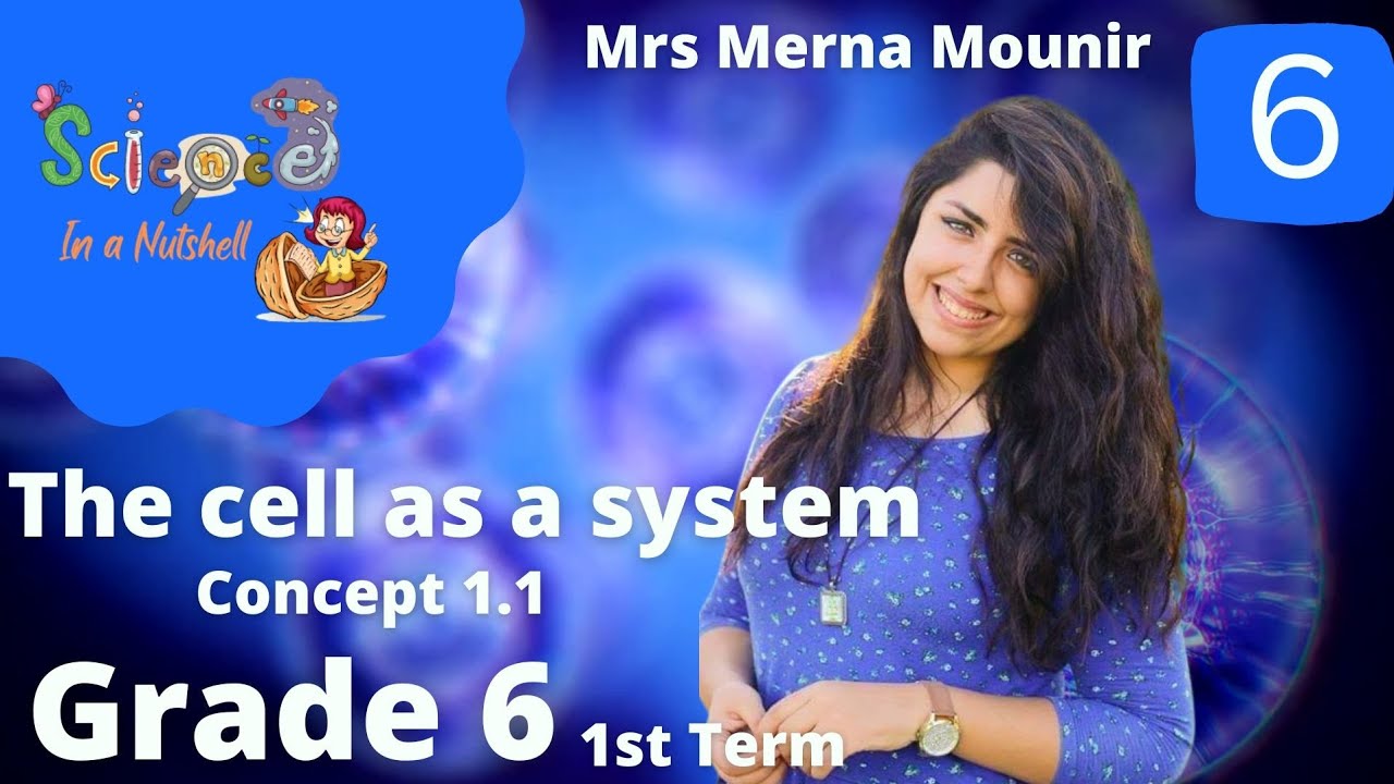 Science-Grade 6-unit 1-concept 1- Video 6 - YouTube