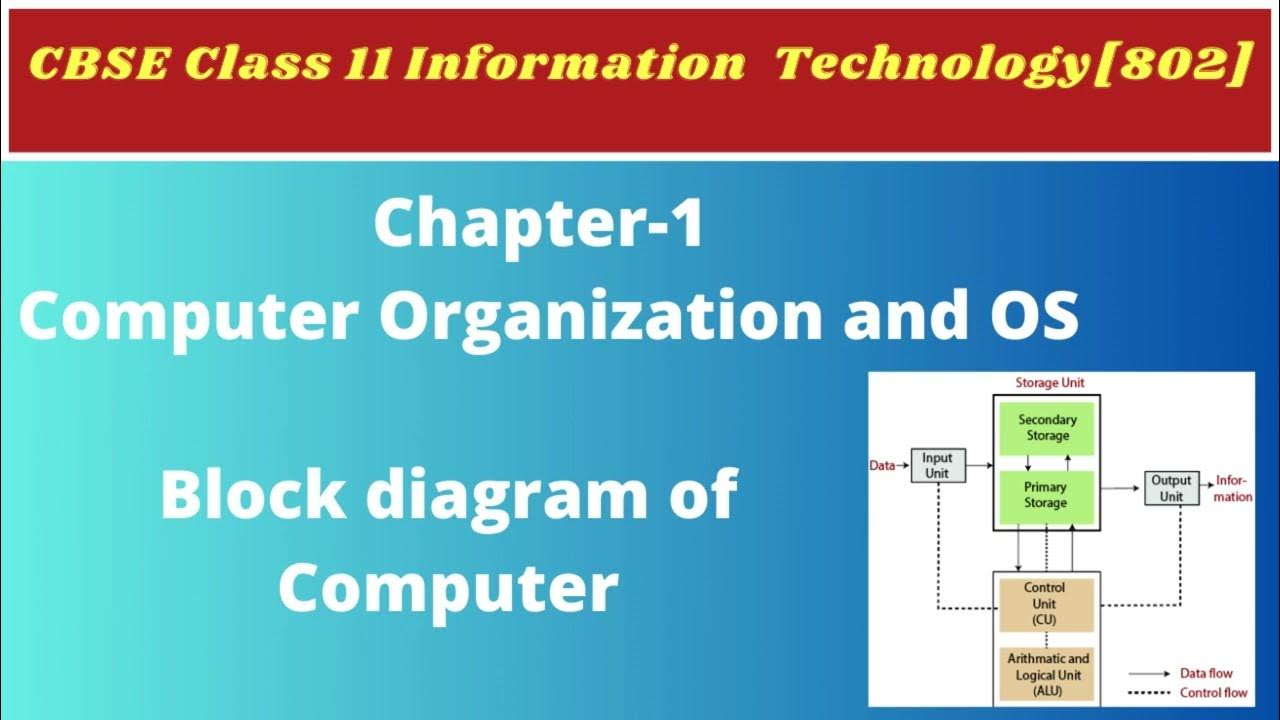 Block diagram of computer CBSE Class 11- Computer organization and OS (IT [802]) - YouTube