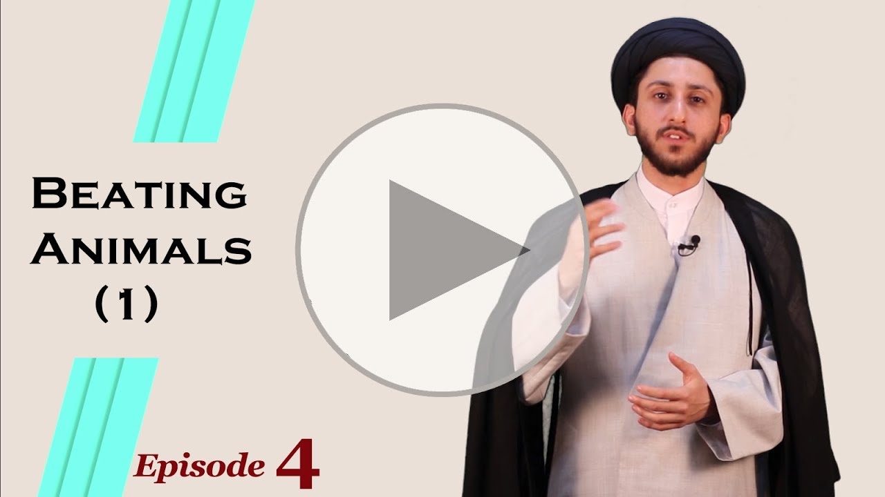 4- Beating Animals (1) .mp4 - YouTube