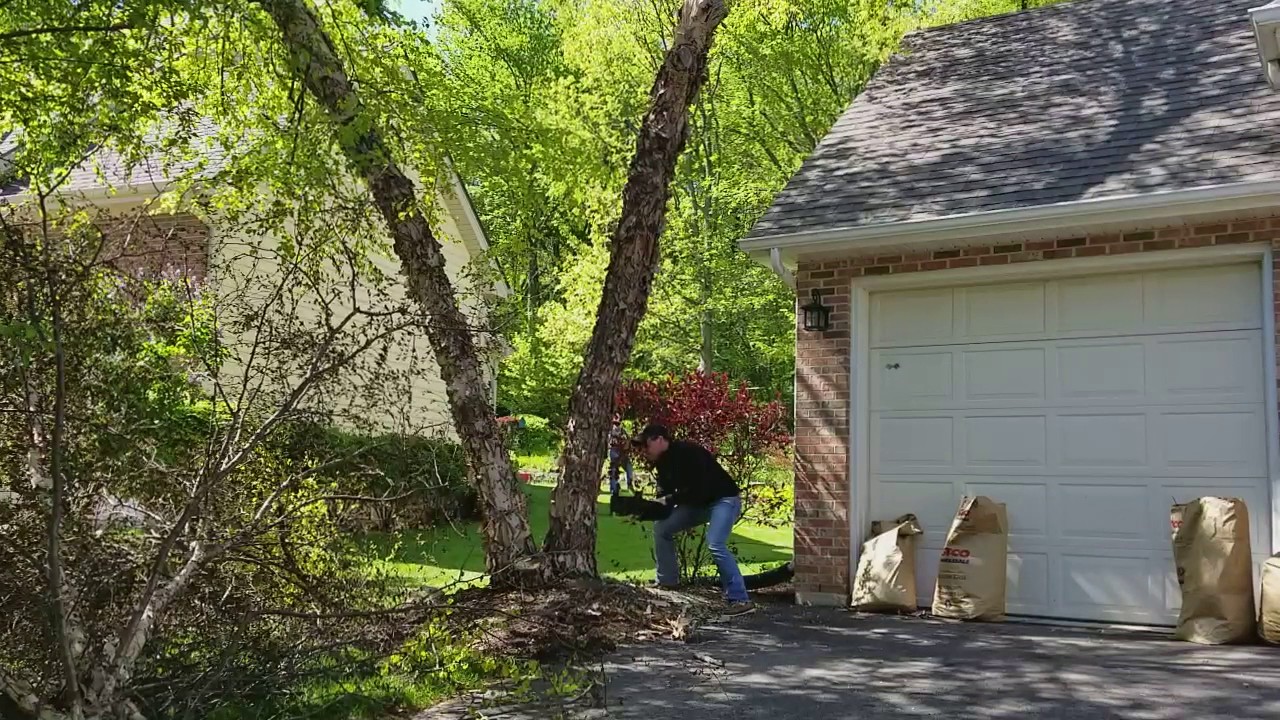 Rick and Jeremy's Tree Service - YouTube