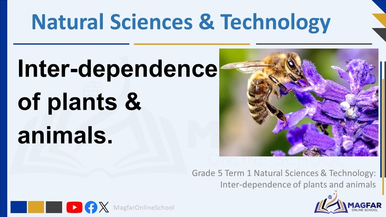 Grade 5 Term 1 Natural Sciences & Technology: Inter-dependence of ...