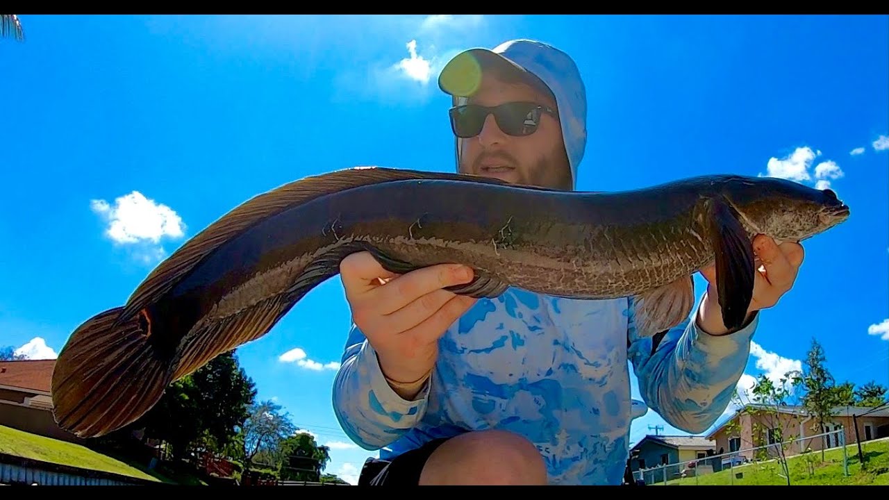 Bullseye Snakehead Fishing in my Gheenoe Classic!! (South Florida ...