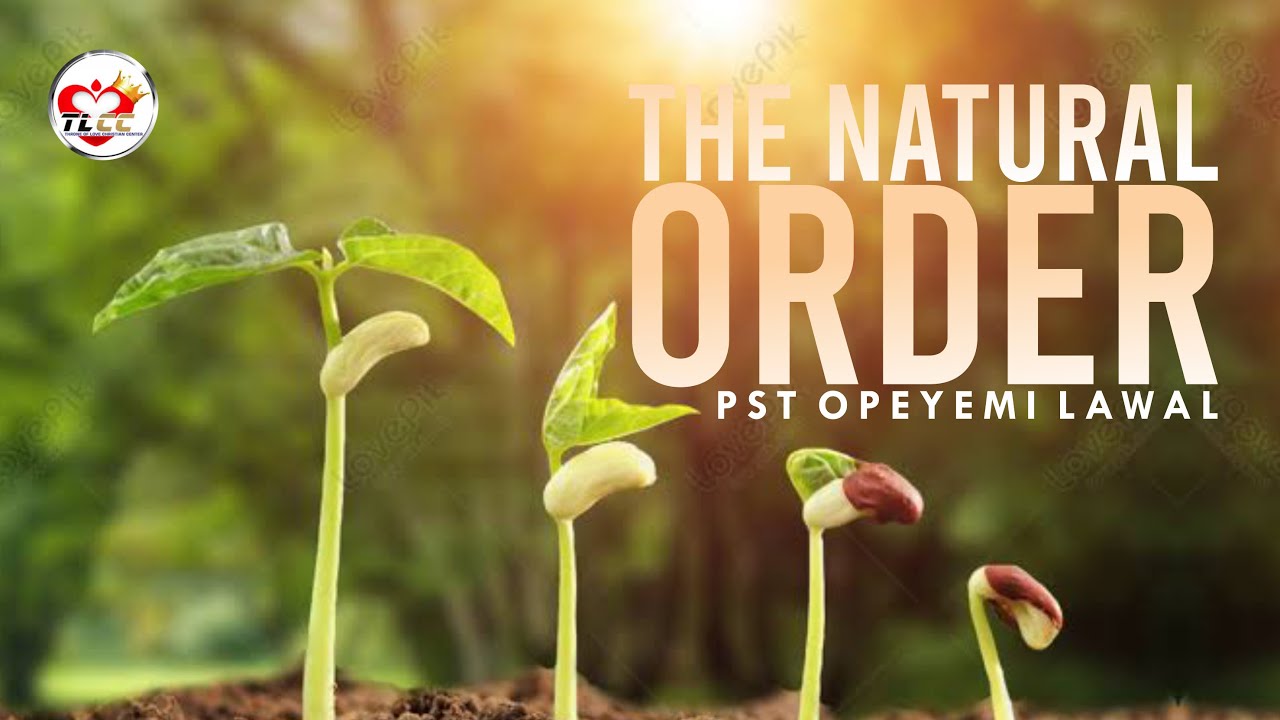 THE NATURAL ORDER PT 19; MODELS, STRUCTURES AND SYSTEMS - PASTOR ...