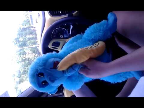 Monkey humping steering wheel - YouTube