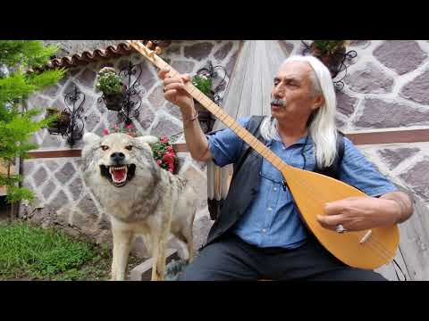 Kaya Kuzucu - Bozkurtların Başbuğları (Şehit Marşı)