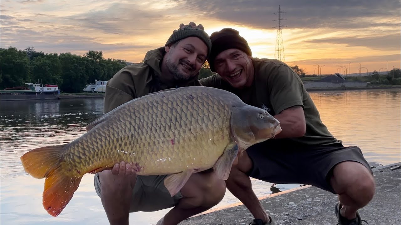 River Carp Fishing Vlog #3 Boat and bank fishing in Belgium on the ...