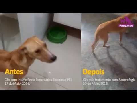 Maio 2016 acoprofagia - YouTube