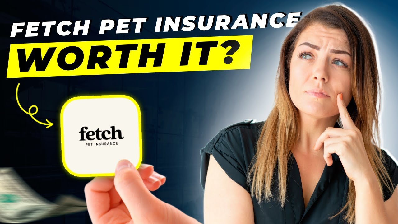 Fetch Pet Insurance Review 2025 | Pros and Cons | Detailed Overview - YouTube