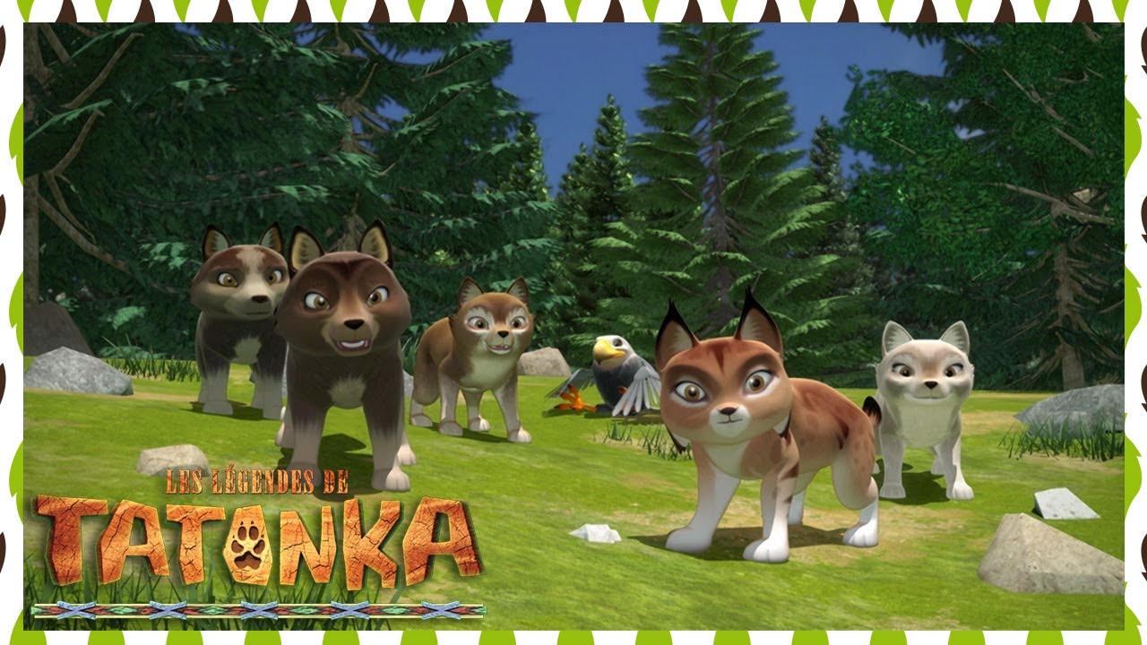 Tatonka en français 🐺 Episode complet 👀 La tête dans le nuages 🙄☁️ ...