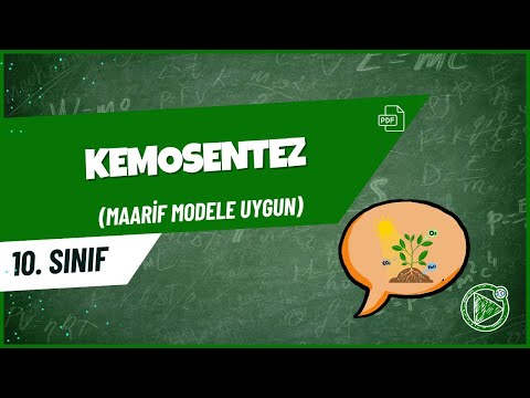 Kemosentez  | 10. Sınıf Biyoloji Konu Anlatımı | 2026