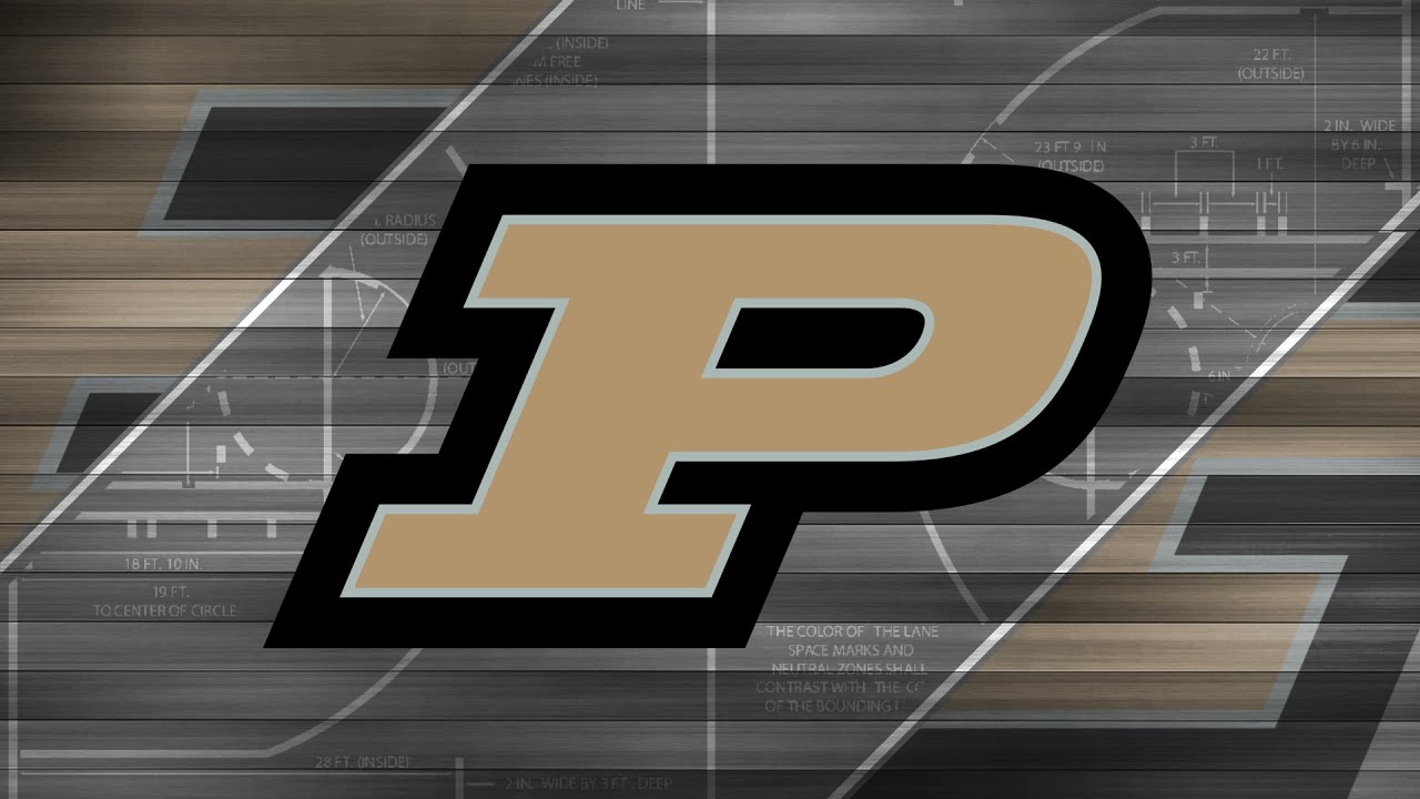 Purdue Basketball - Sandstorm Dance (Purdue vs. Minnesota 2/15/2024 ...