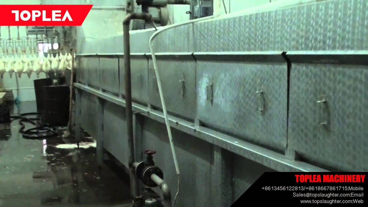 poultry processing machinery/ scalding machine - YouTube