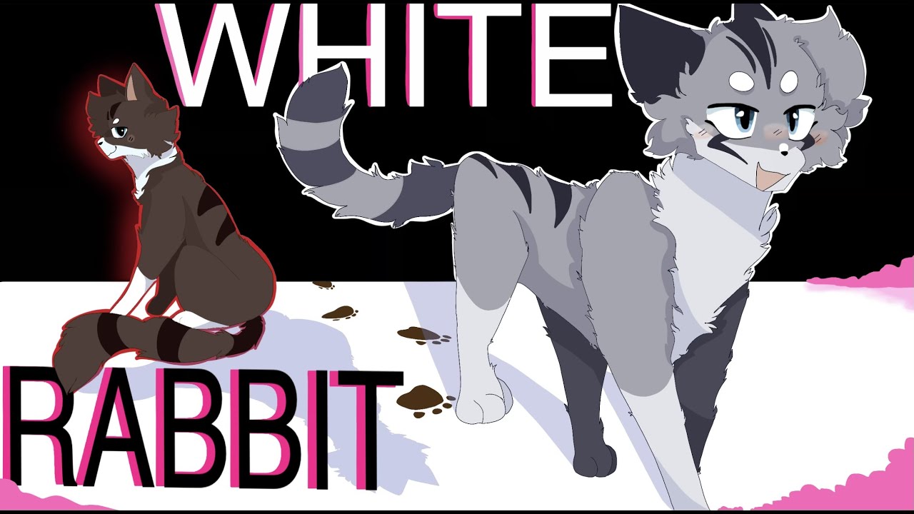 WHITE RABBIT [] Animation Meme [Warrior Cats] FlipaClip - YouTube