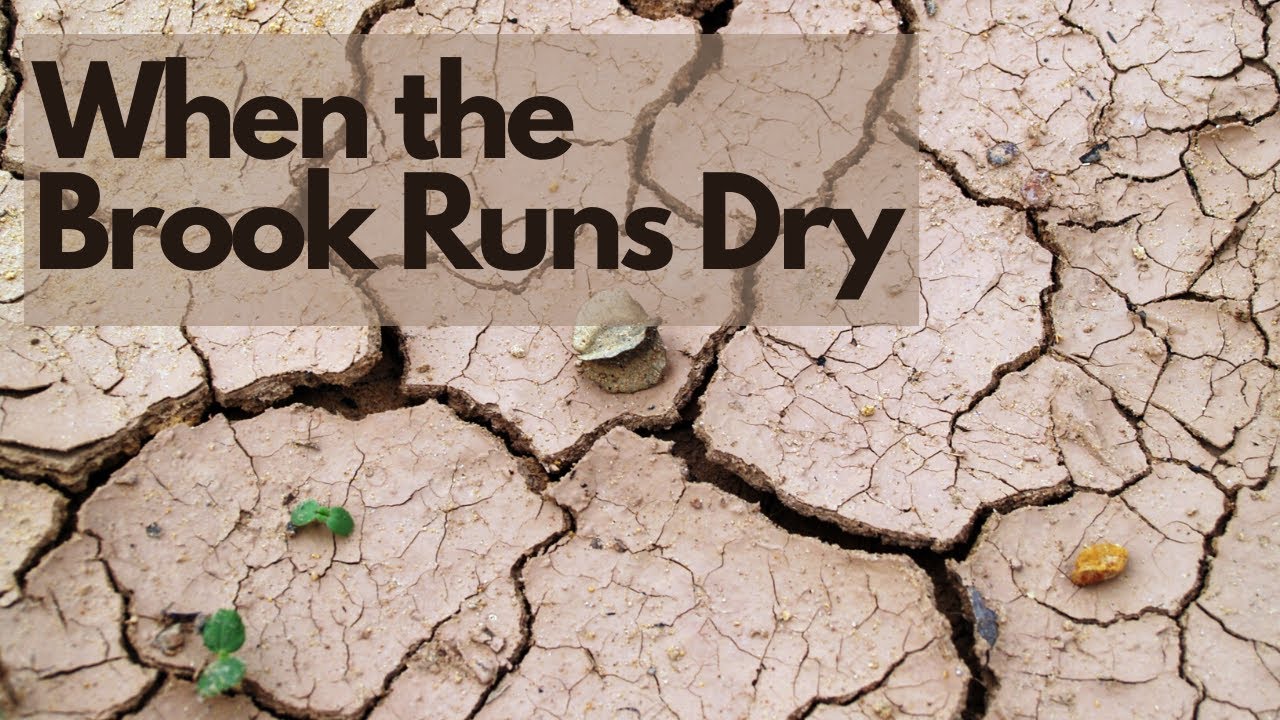When the Brook Runs Dry – Anastasia Ferguson-Bansie – May 23, 2020 ...