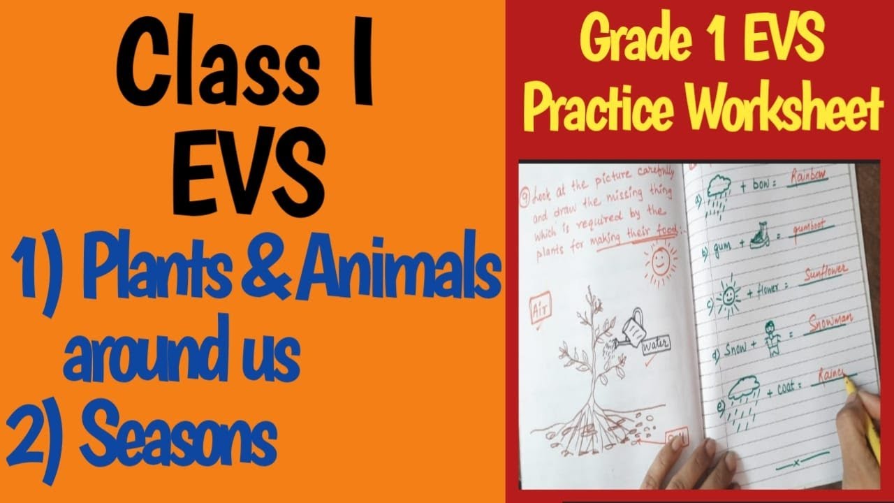 EVS Worksheets | Plants & Animals Around Us | Seasons | Class 1 EVS Practice Worksheets - YouTube