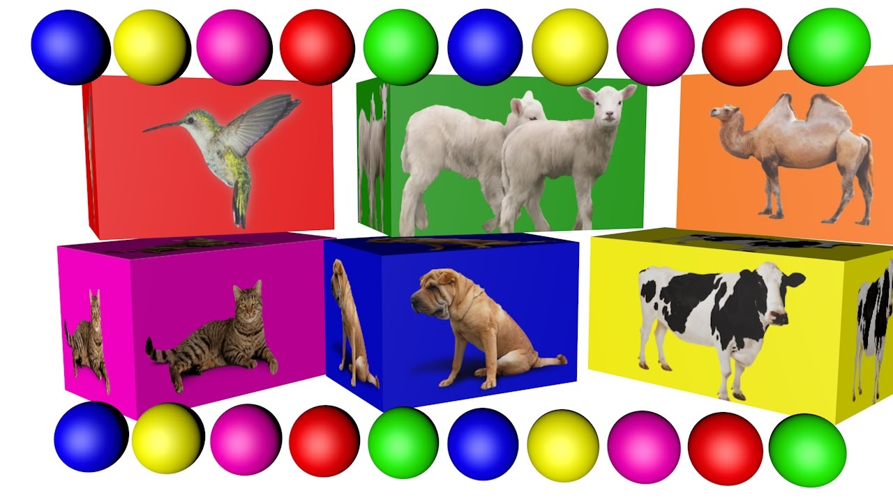 Aprender Colores Para niños y bebés - Dibujo animado para bebés 2016 ...