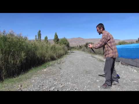 Aras Kuş Araştırma ve Eğitim Merkezi (Aras Bird Research and Education Center)