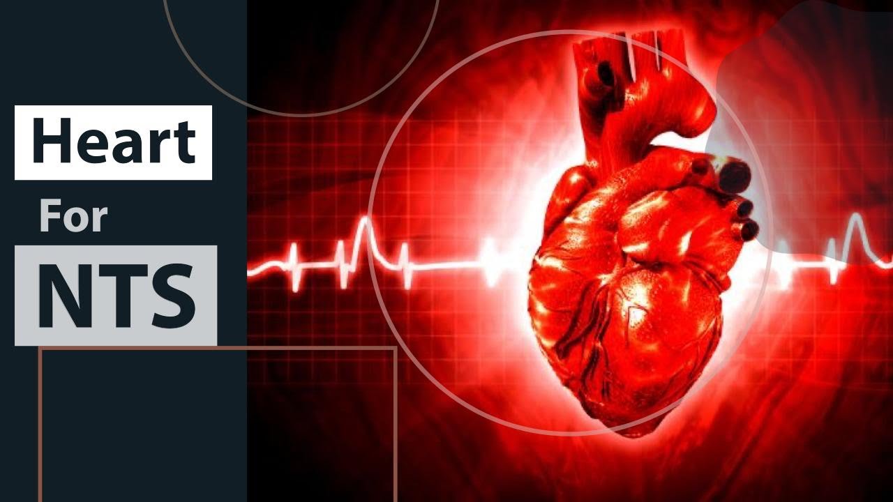 Introduction to Heart. Biology class 9, class 11th Topic: Heart, NTS ...