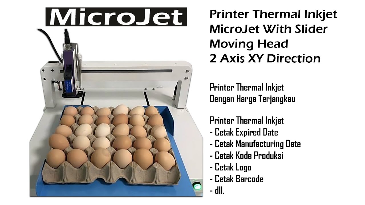 Thermal Inkjet Printer Microjet Evo With Slider Moving Head 2 Axis XY ...