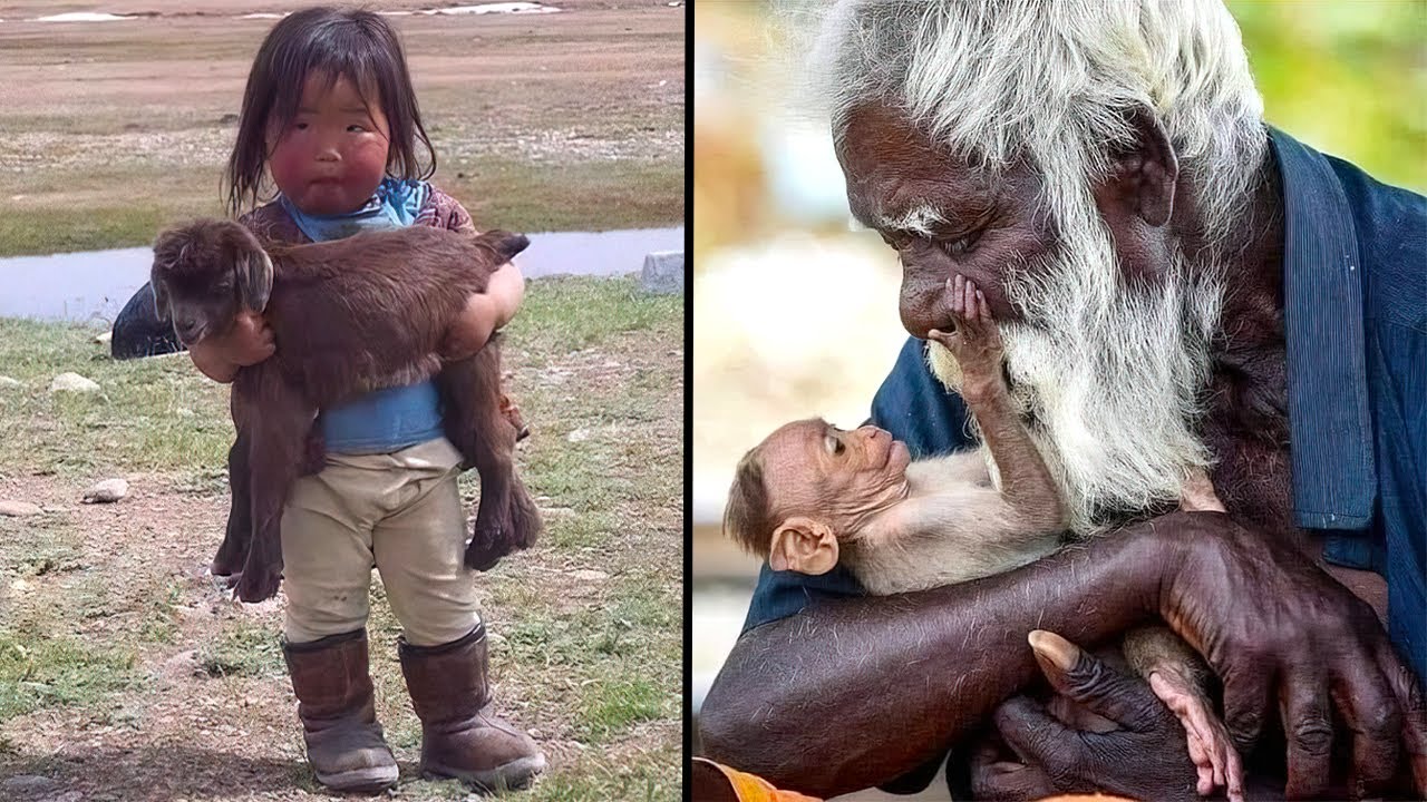 People Saving Animals Lives - Part 7 - YouTube