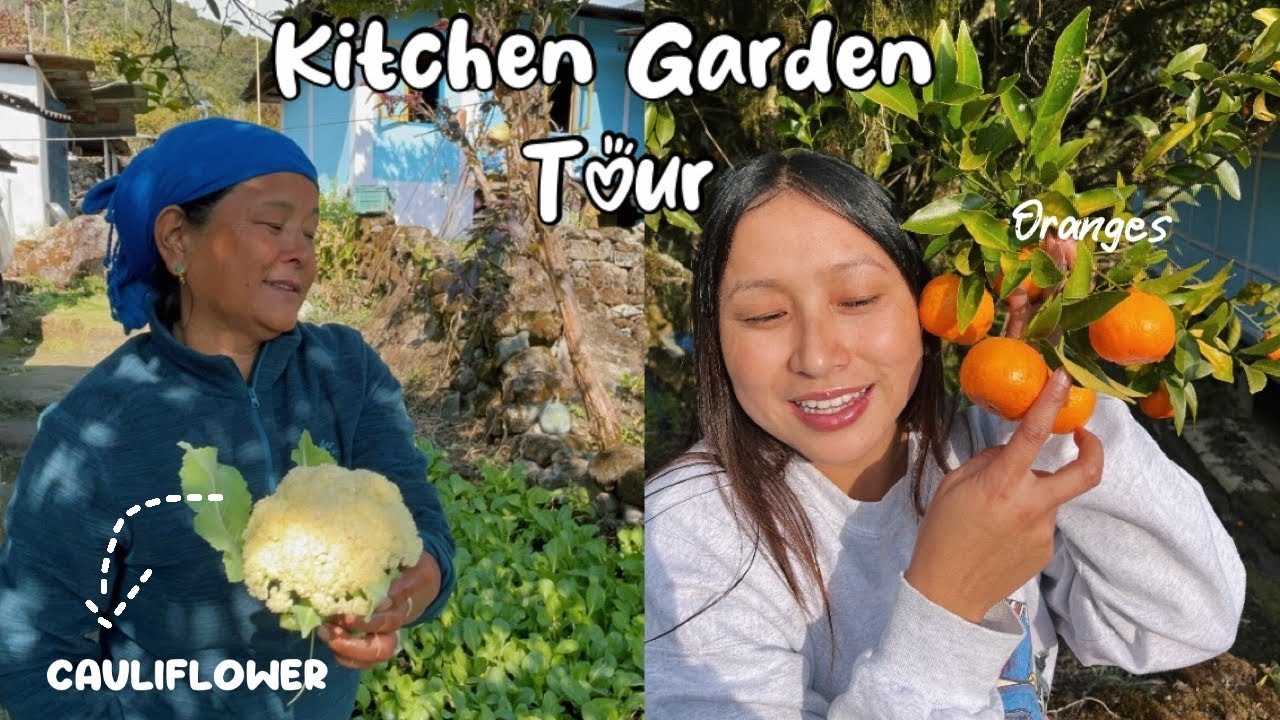 Home Kitchen Garden Tour- first ever cauliflower garden, broccoli 🥦 ...