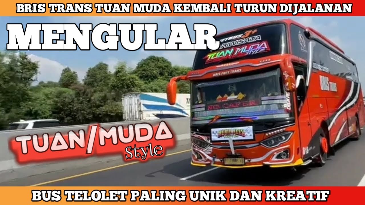 BRIS TRANS TUAN MUDA KEMBALI MENGULAR DIJALANAN 🐍🐍 #viral - YouTube