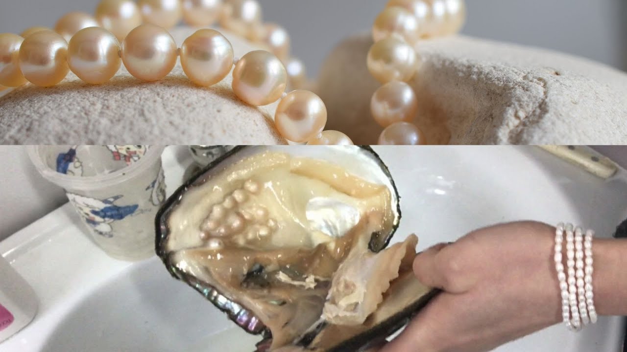 #1 Real Pearls from Oyster | Taking out Pearls from Sea Shell | Real ...