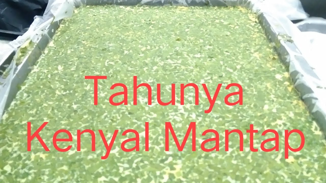 CARA MEMBUAT,MEMASAK TOFU TELUR ,TAHU POCAI,TAHU SUTRA RECIPE Master ...