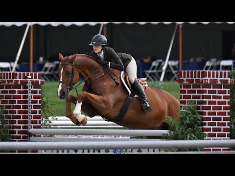 Alexandra Rowe & CHAPERONE 2nd place, first hunter with a 90 3’6 jr ...