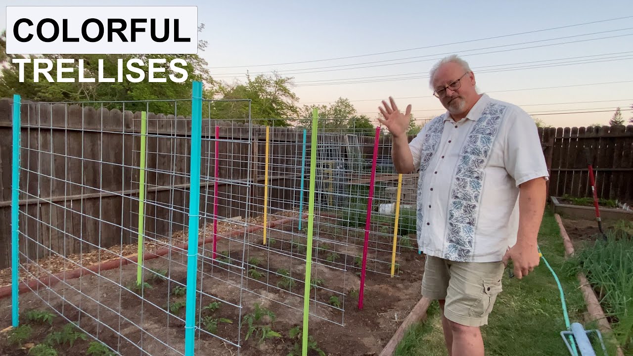 Colorful Trellises - YouTube