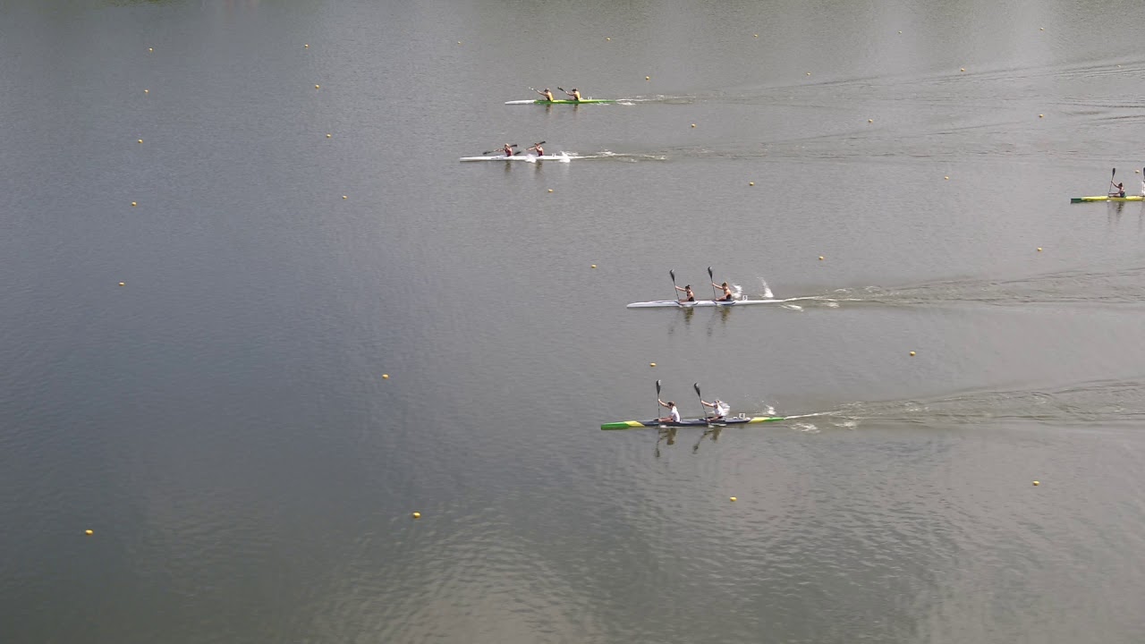 Five Olympic Canoe Sprint Quota Secured at 2020 Oceania Champs - YouTube