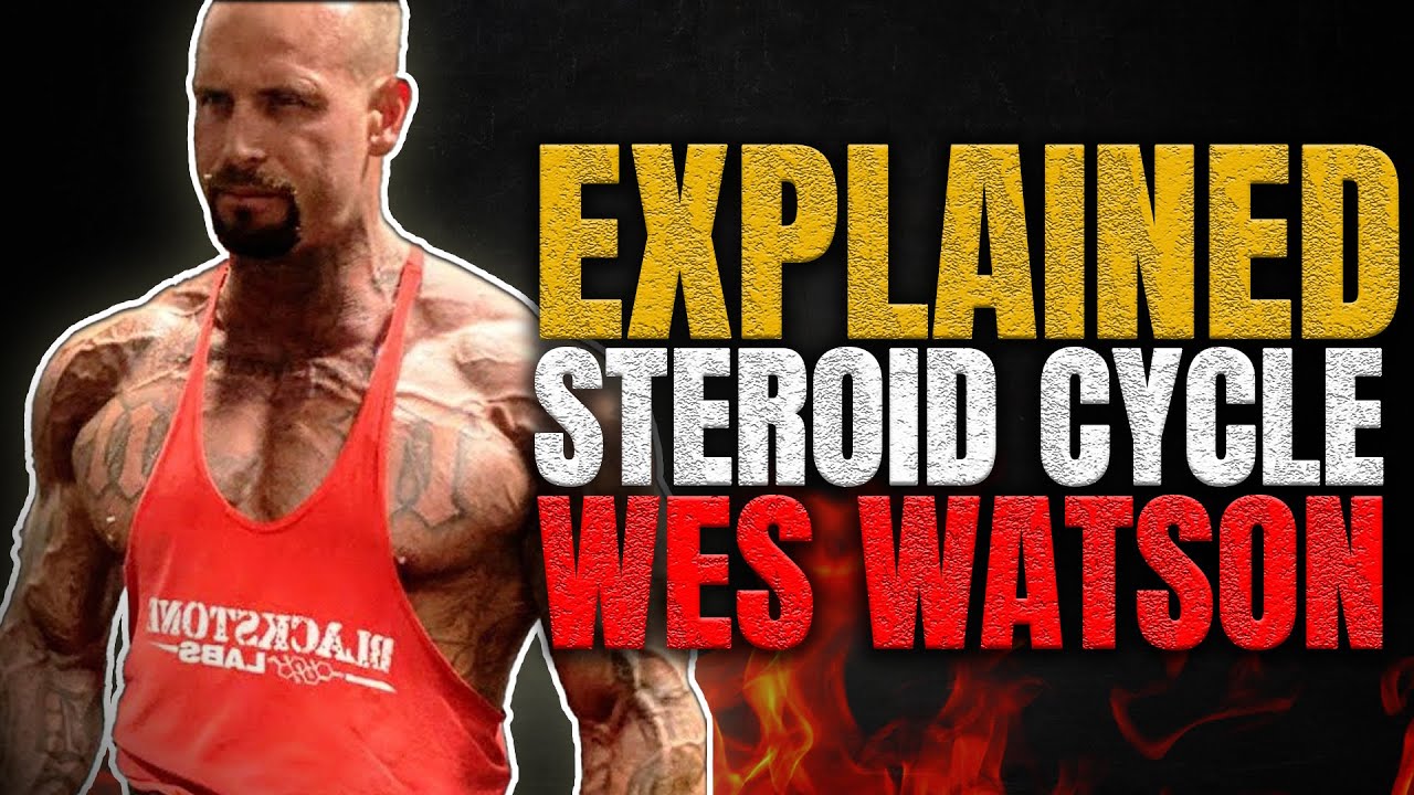 Wes Watson Steroid Cycle REVEALED - YouTube