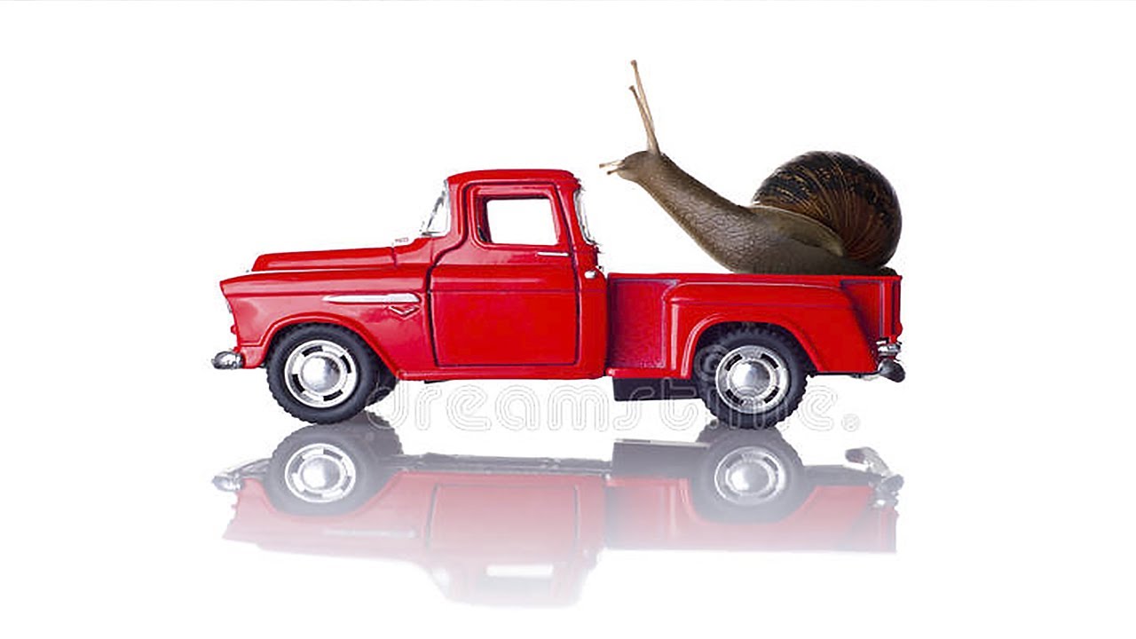 SNAIL RIDES A TRACTOR VIDEO Cartoon about cars and tractors for boys ...