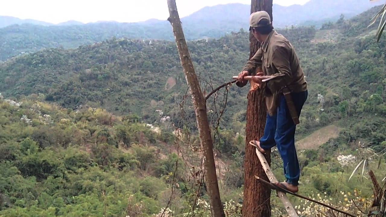 Hmong lub neej toj siab - YouTube