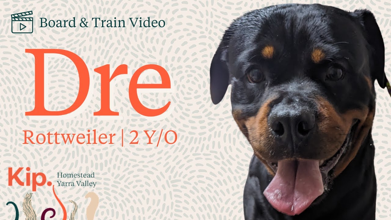 Dre Training Video - YouTube