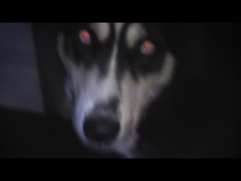 ssjishmael - Simple (Official Visualizer) - YouTube