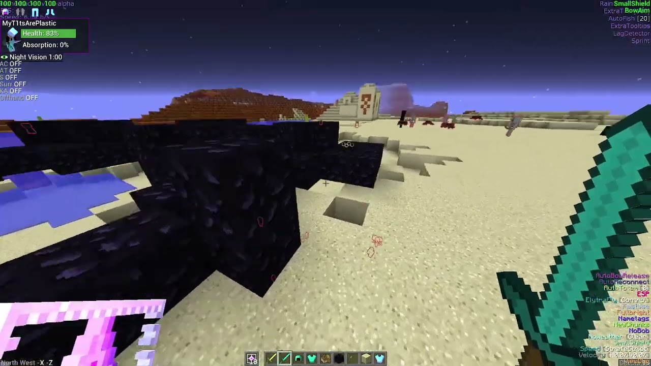 2B2T Working elytra fly for Future - YouTube