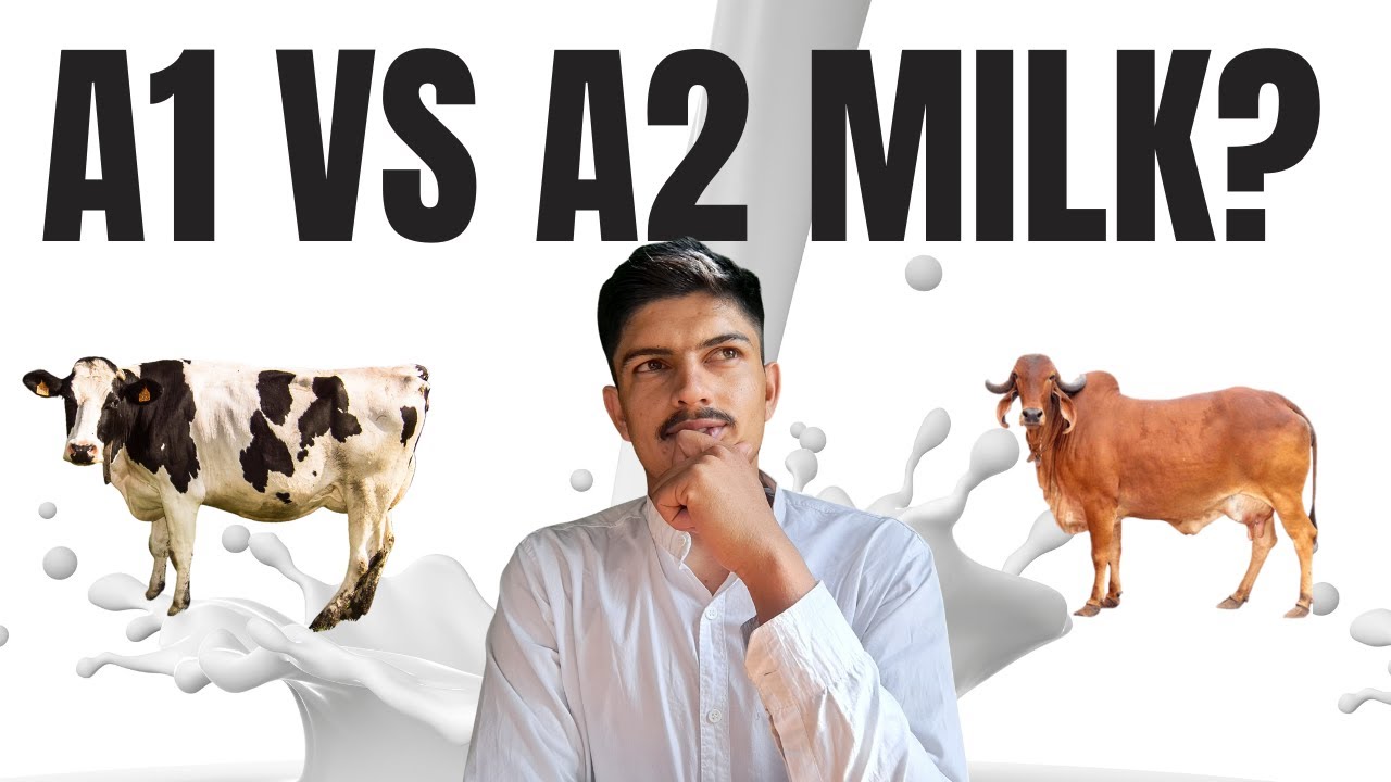 What is A2 Milk || A1 Vs A2 Milk, Best Milk || Nyutam Farm - YouTube