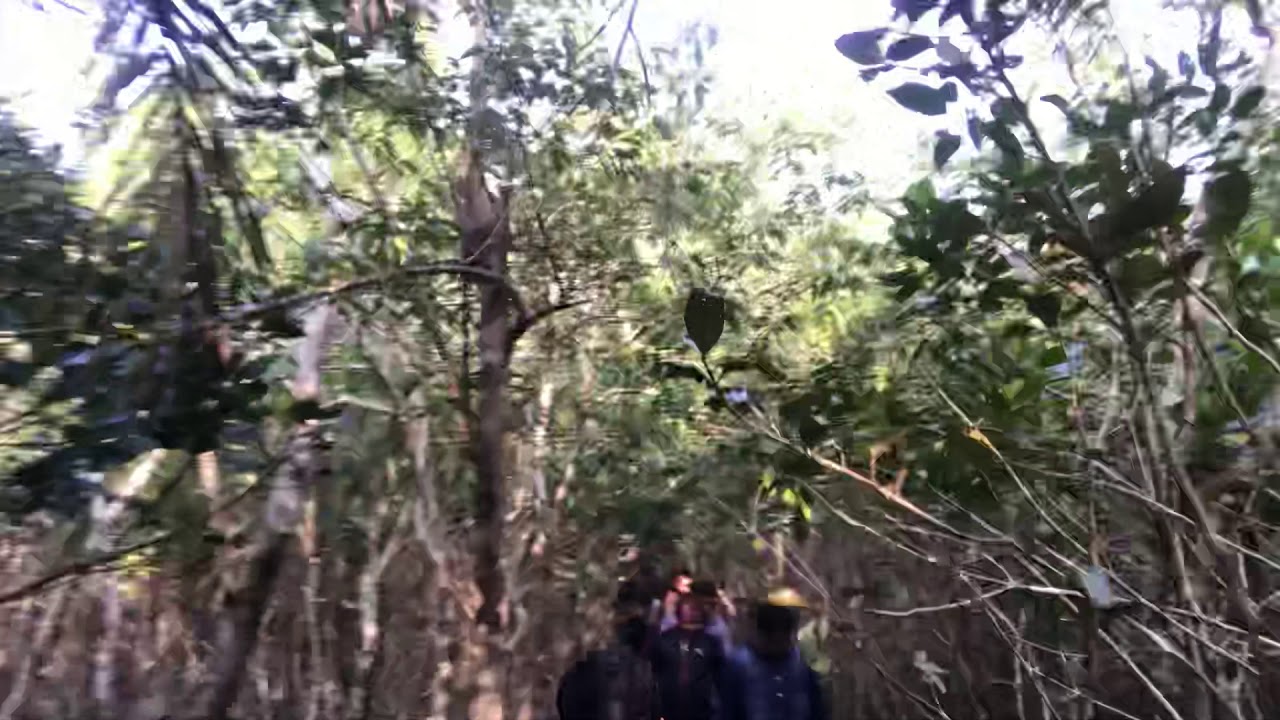 Faruk Khan Pathan - YouTube