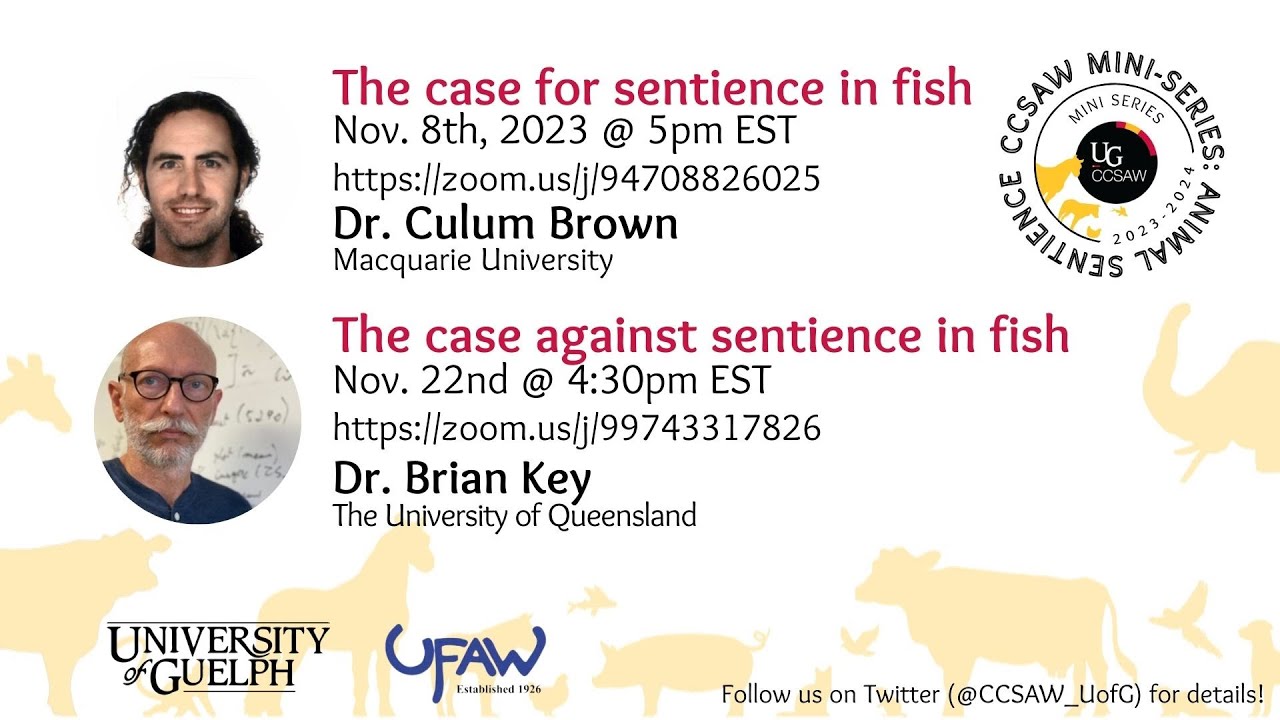 The case against sentience in fish | Dr. Brian Key - YouTube
