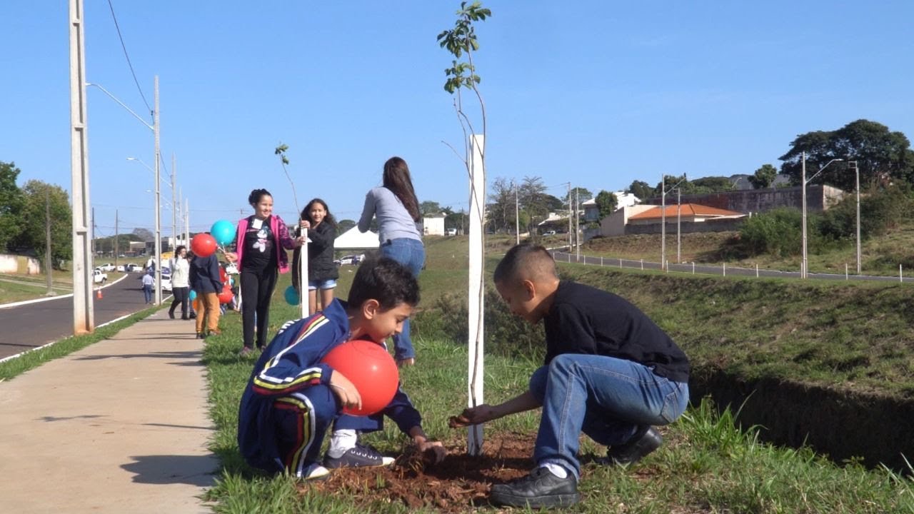 Dia Nacional do Campo Limpo no Parque dos Ipês - YouTube
