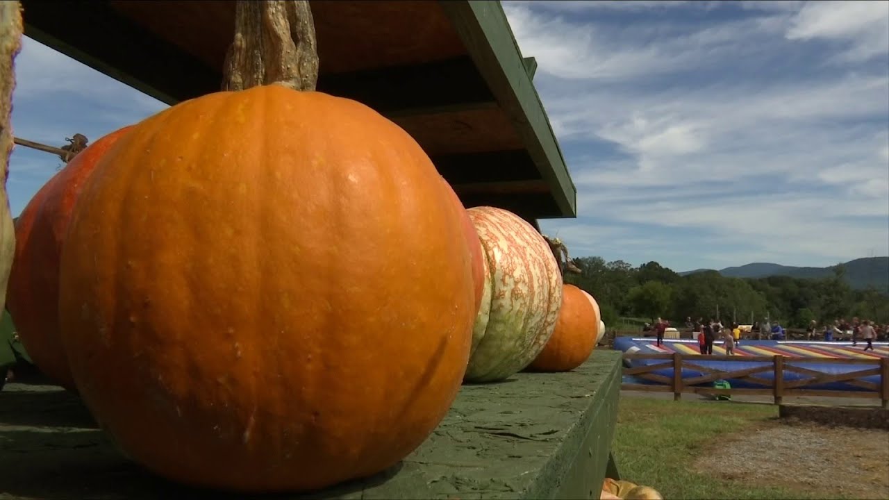 Layman Family Farms Fall Festival now open - YouTube