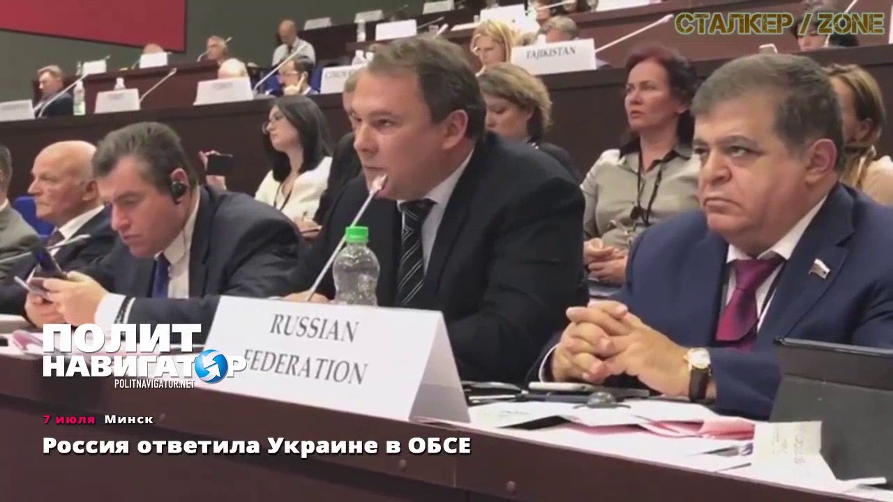 Russian Deputy Pyotr Tolstoy Responds to Ukraine at the OSCE ...