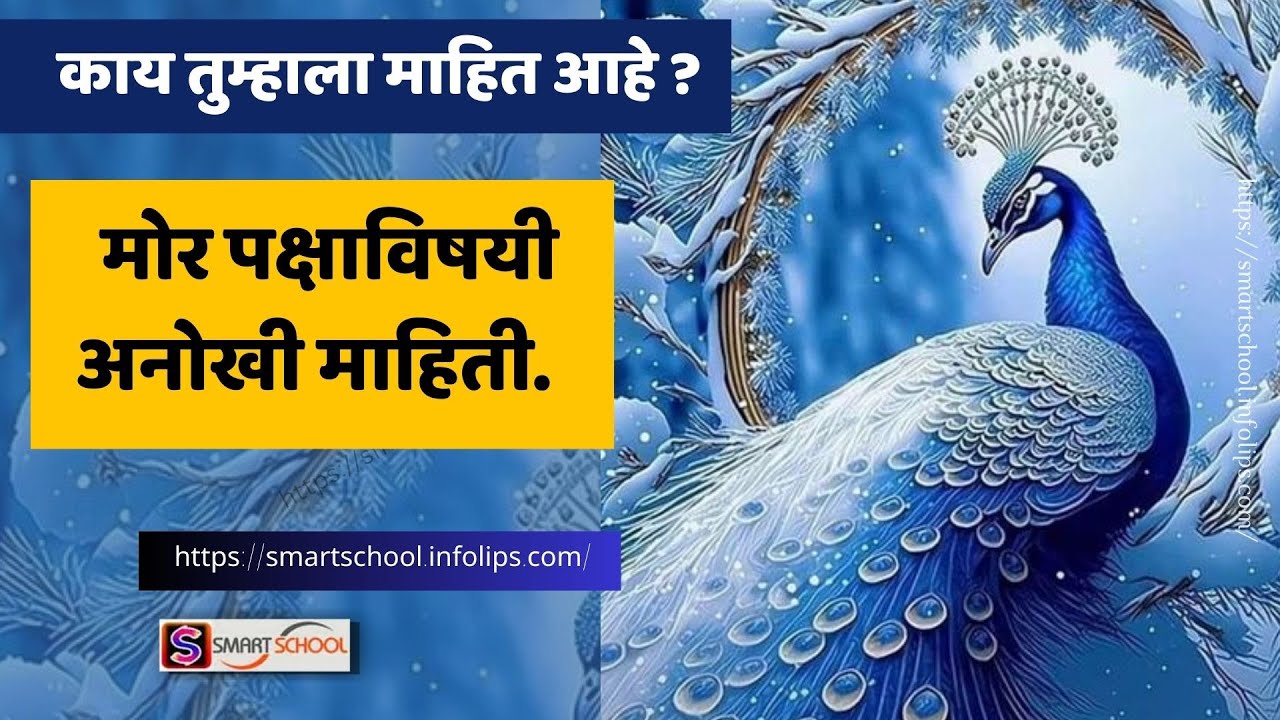 मोराची माहिती | Peacock Information in Marathi | Morachi Mahiti | Smart ...