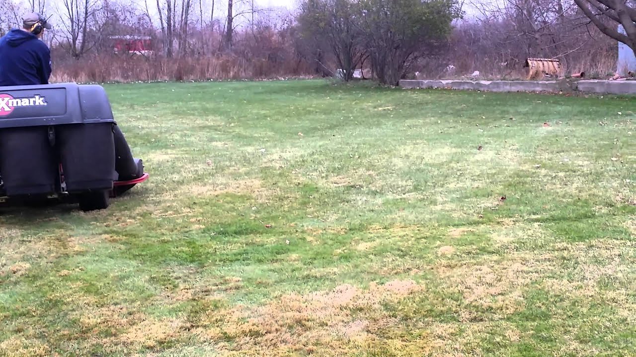 Some quick light leaf clean up. - YouTube